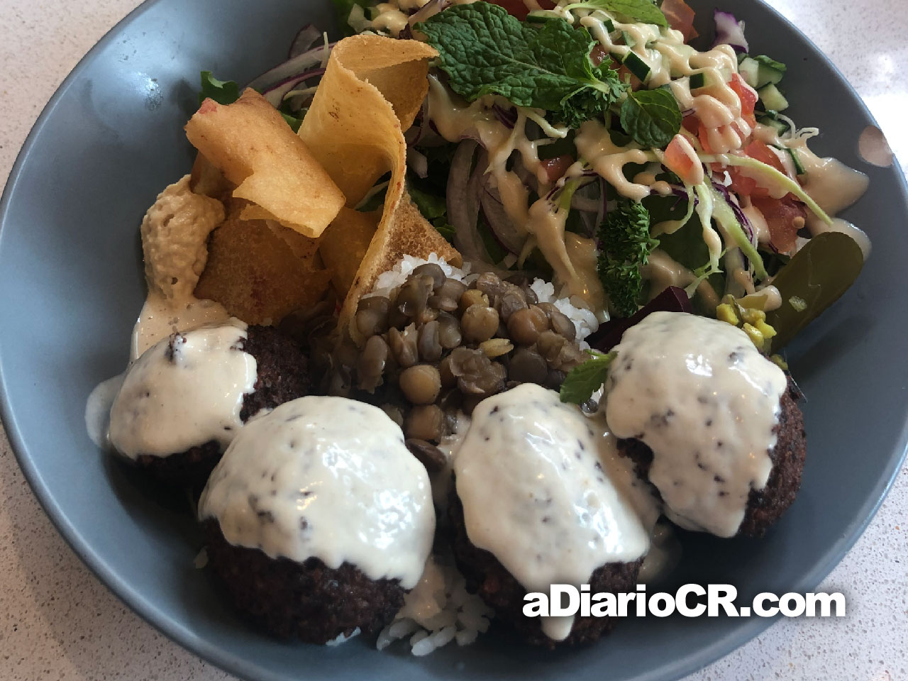 Falafel House - aDiarioCR.com - Costa Rica