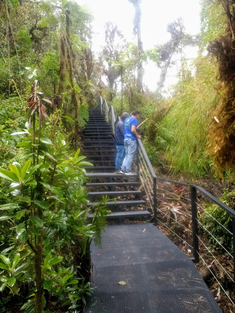 Nuevo sendero en Parque Nacional Los Quetzales cuenta con acceso ...