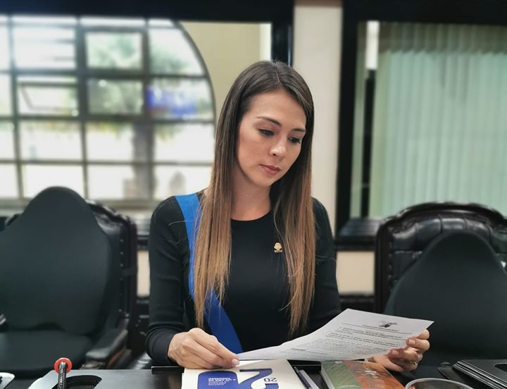 Diputada solicitó crear comisión que trabaje en el manejo del Covid-19 ...