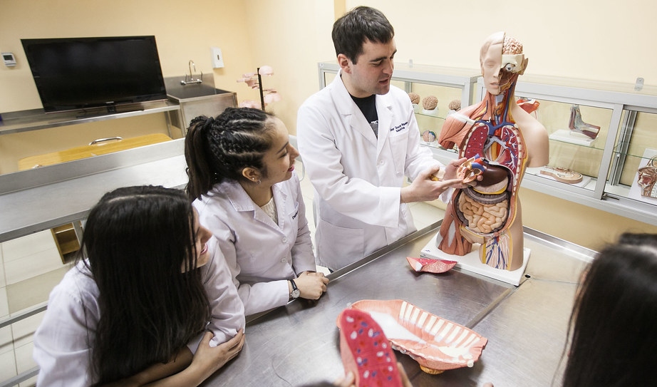 Estudiantes de medicina inician lecciones e internado en la CCSS ...