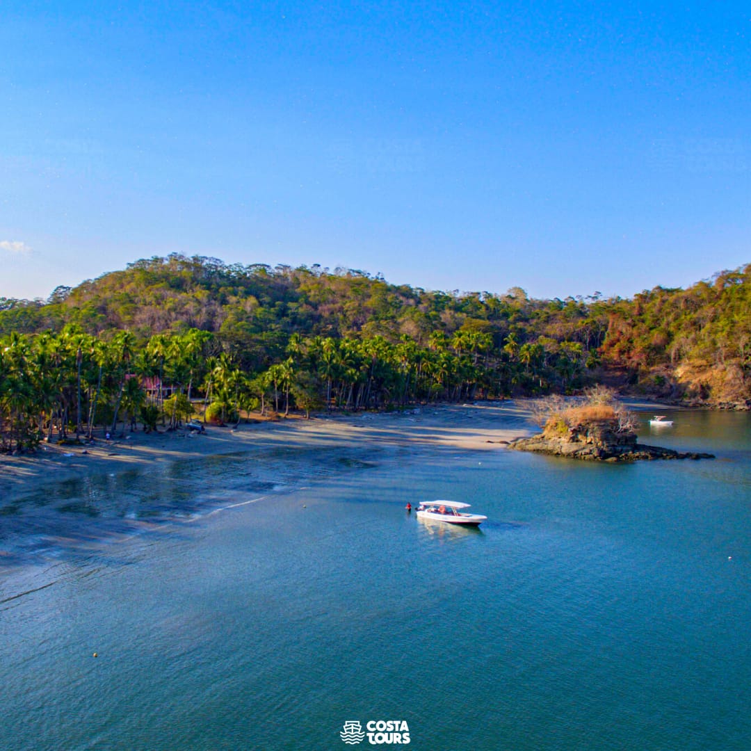 Isla Cedros recibirá turistas que busquen disfrutar del fenómeno de ...