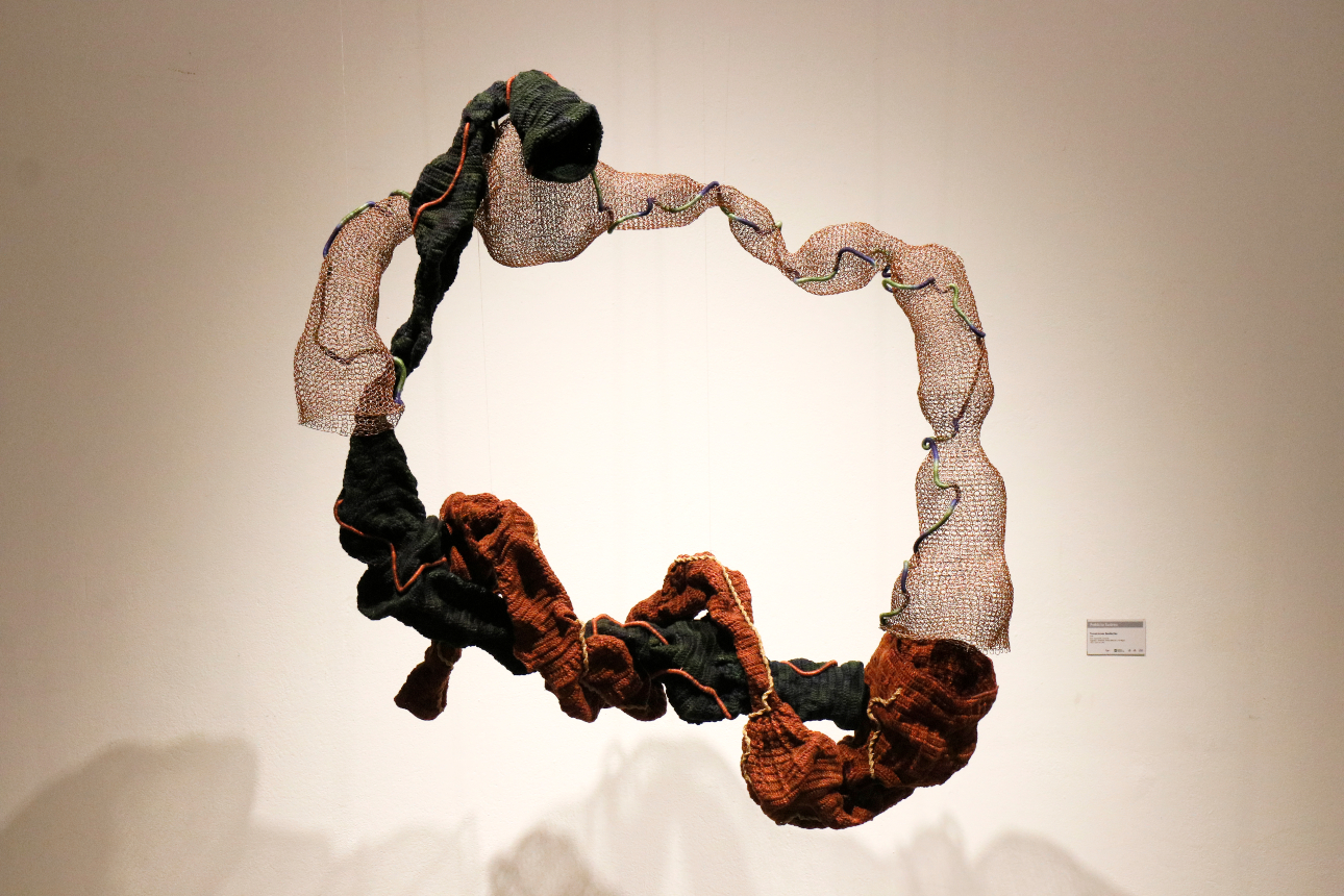 Bienal de arte textil muestra obras de más de 30 artistas nacionales ...