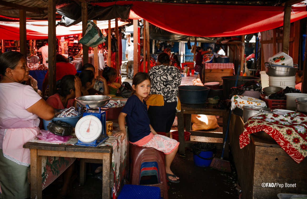 Emaciación y sobrepeso: problemáticas que siguen afectando a los niños ...