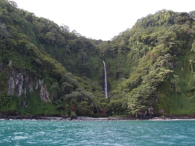 Decreto amplía área de Isla del Coco para proteger especies y ...