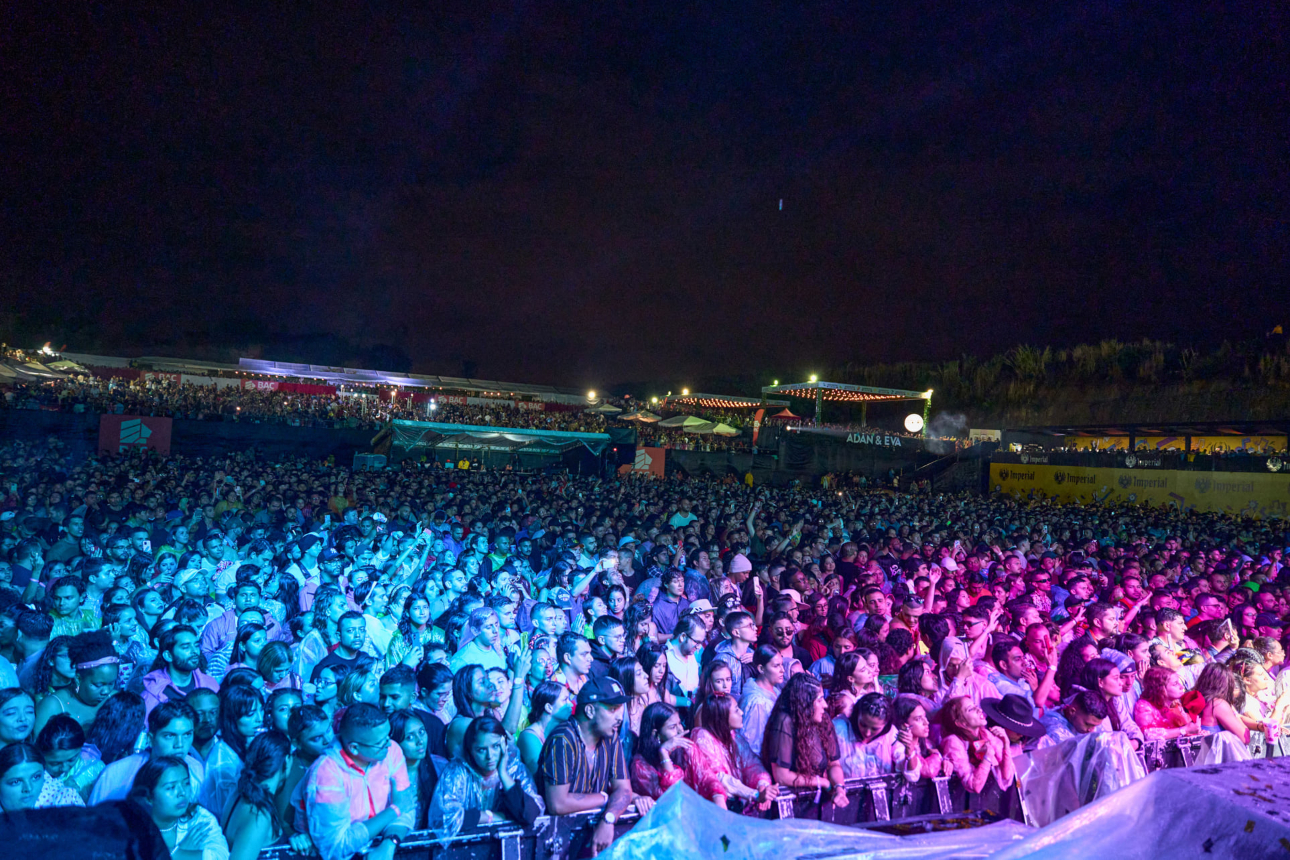 Más de 30 artistas internacionales se presentarán en el Picnic Festival ...