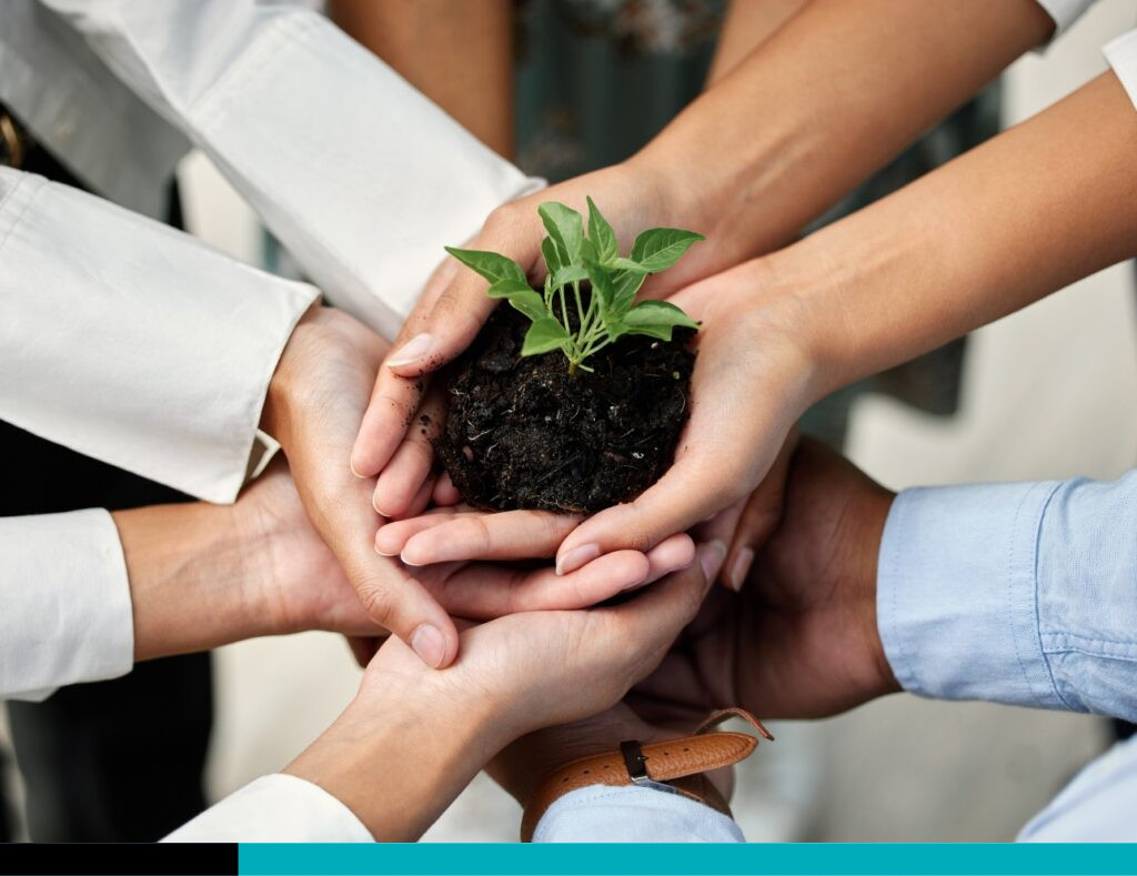 Conozca cómo incluir la responsabilidad social en su empresa ...